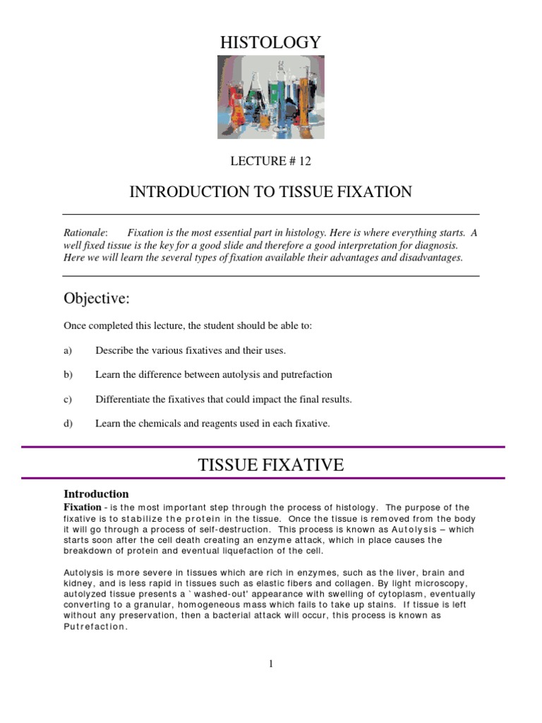 Tissue Fixation-Lecture 12 | PDF | Fixation (Histology) | Histology