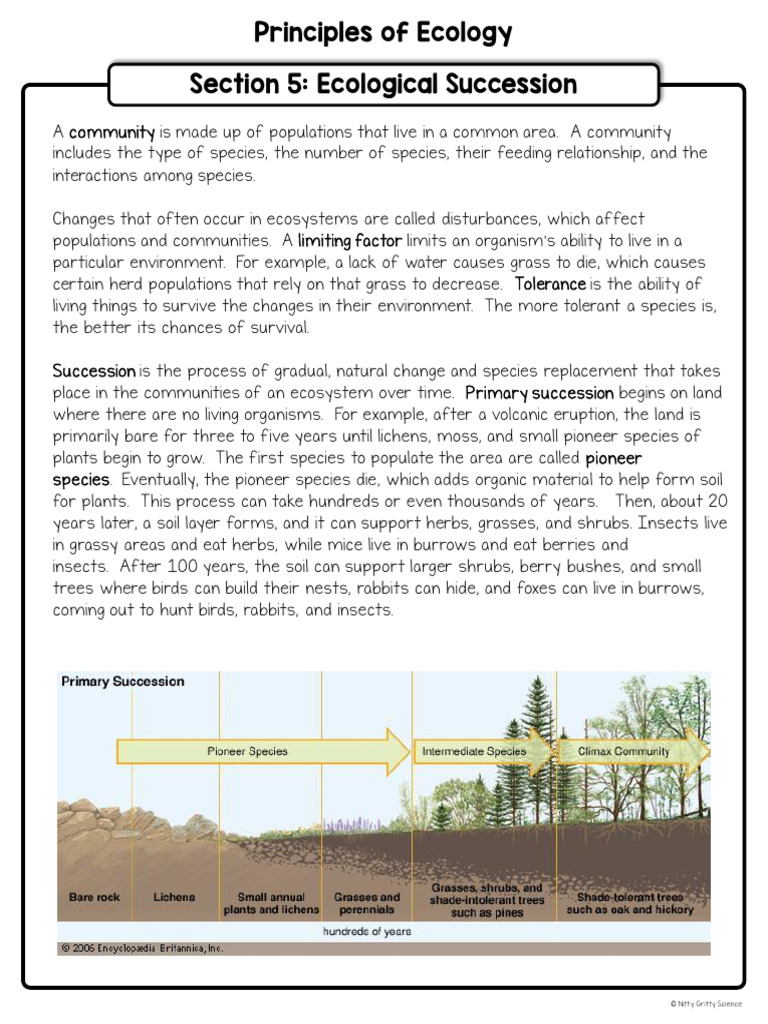 Understanding Secondary Succession | PDF | Landscape | Conservation Biology