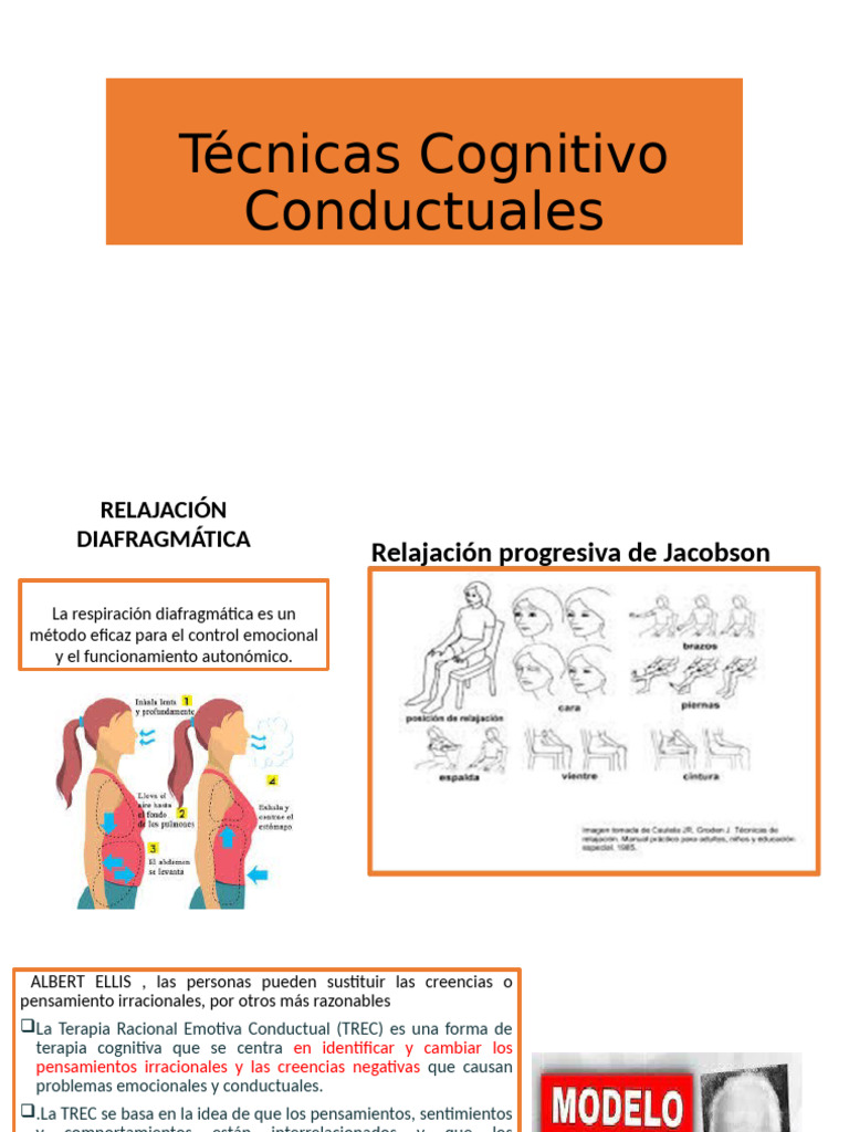 Técnicas Cognitivo-Conductuales para la Ansiedad | PDF | Terapia ...