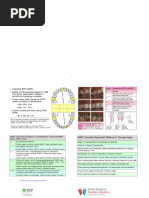 BSP Flowchart Implementing The 2018 Classification | PDF