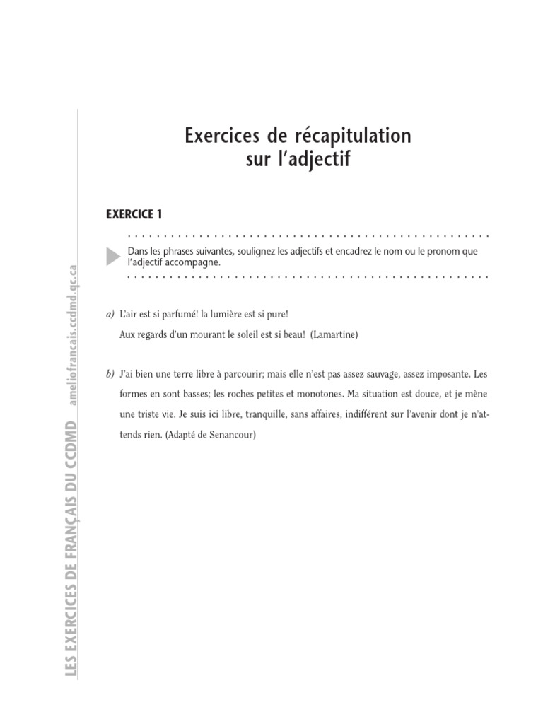 Exercices de récapitulation sur l'adjectif | PDF
