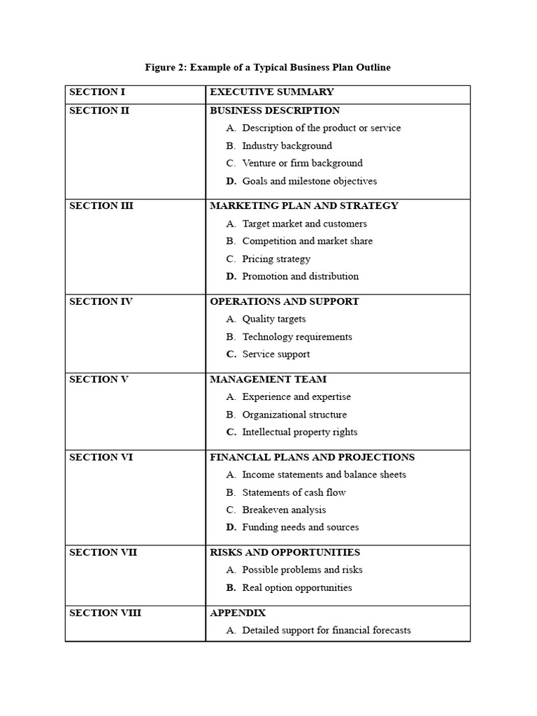 Chapter II - Typical business plan outline.docx (1) | PDF