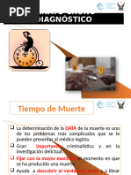 Fase Cromatica, Enfisematosa, Licuefactiva, Esqueletización y ...