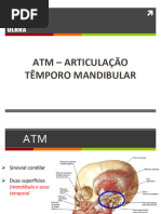 Estruturas e Funções da ATM | PDF | Anatomia | Sistema Locomotor