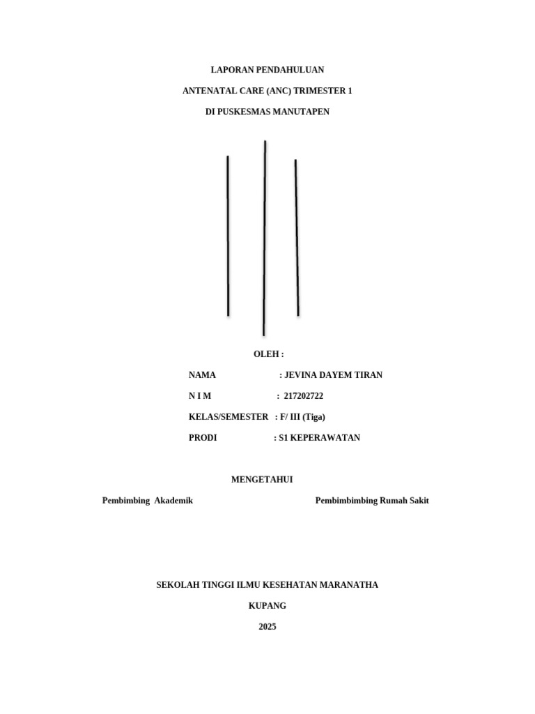 ANC Trimester 1: Panduan dan Penatalaksanaan | PDF