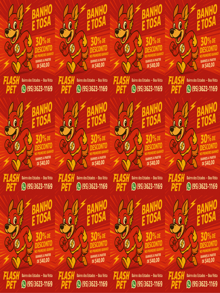 Flash Pet Grid 12 A4 | PDF