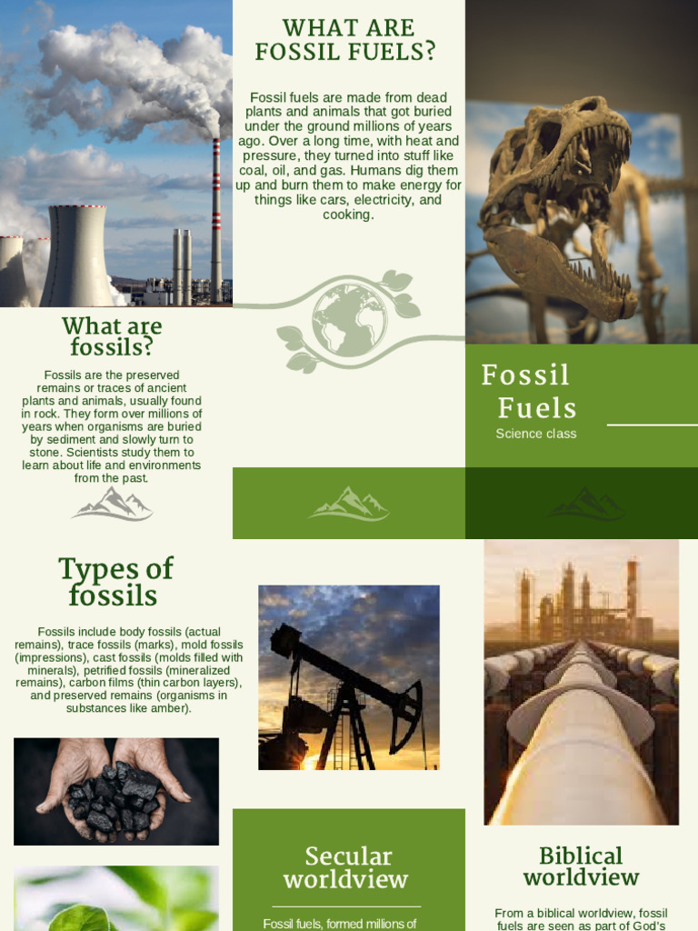 Understanding Fossil Fuels and Fossils | PDF | Fossil | Fuels