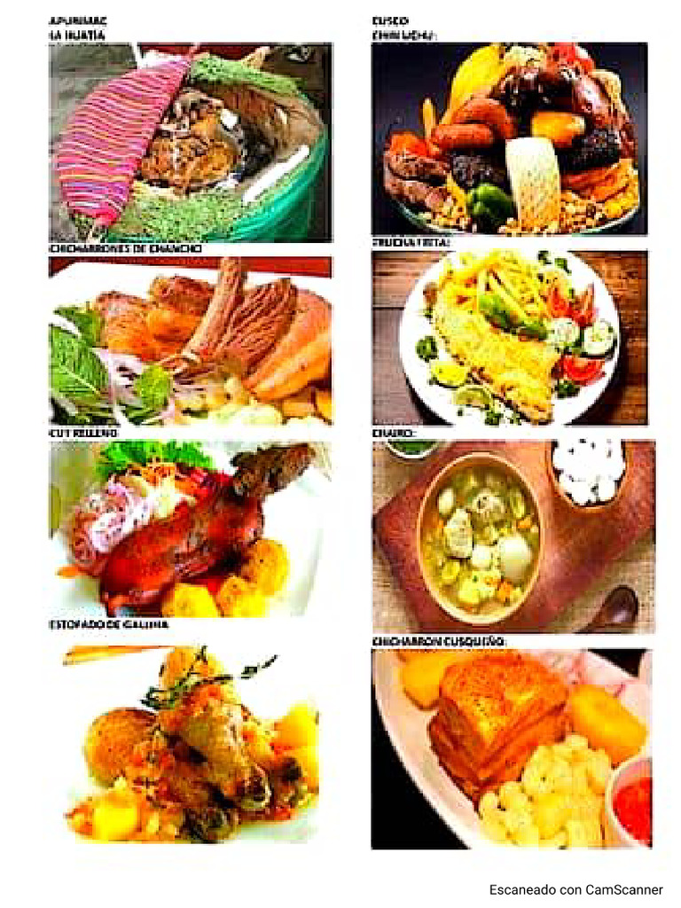 Plato Tipico | PDF