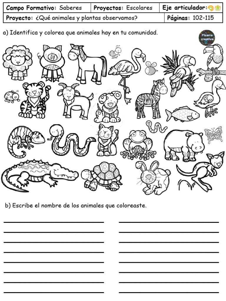 2° Anexos Que Animales y Plantas Observamos Libro Pe | PDF