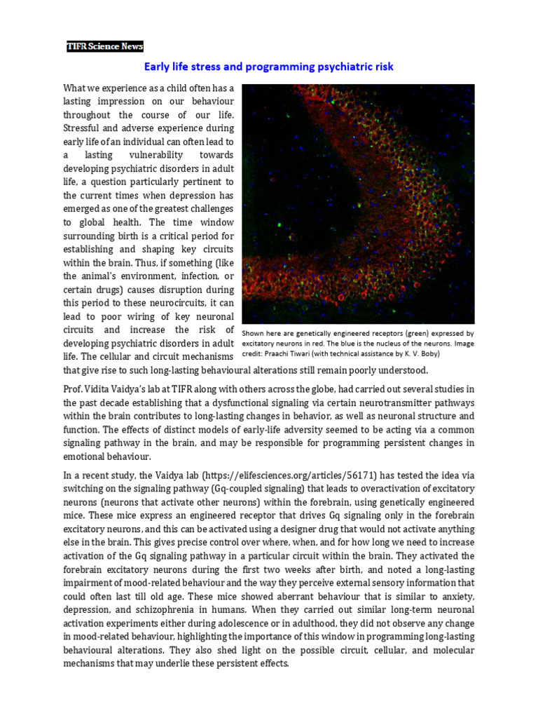 Early Life Stress and Programming Psychiatric Risk | PDF | Brain | Neuron