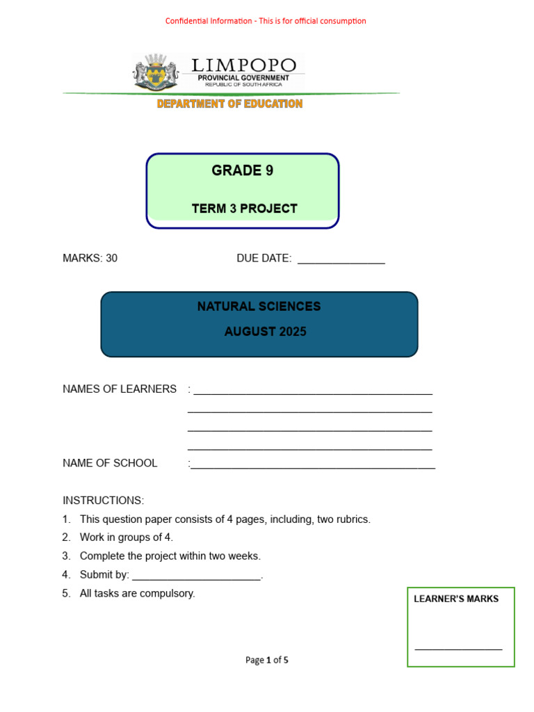 Grade 9 Natural Science Project 2025 | PDF | Cognition