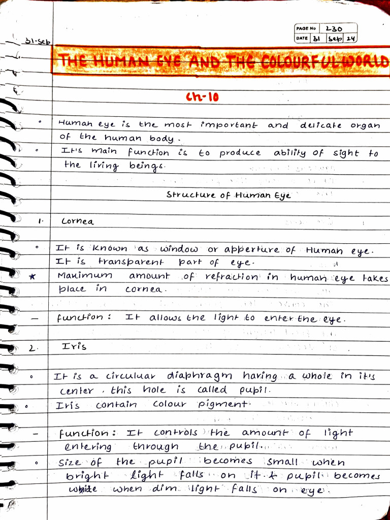 Class 10th Human Eye 2025 | PDF