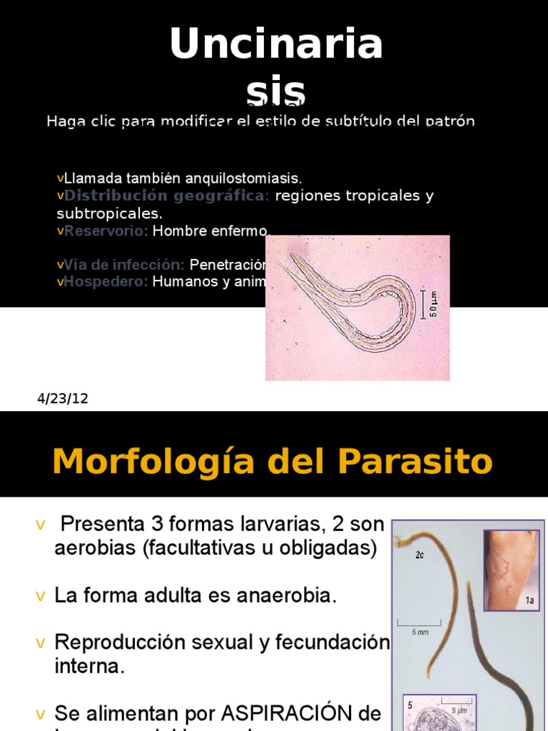 Uncinariasis: Guía Clínica y Tratamiento | PDF