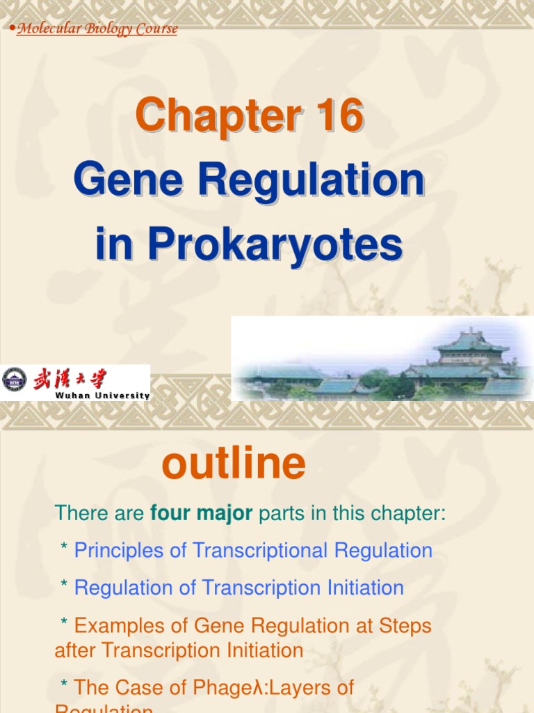 TRP Operon | PDF | Regulation Of Gene Expression | Operon