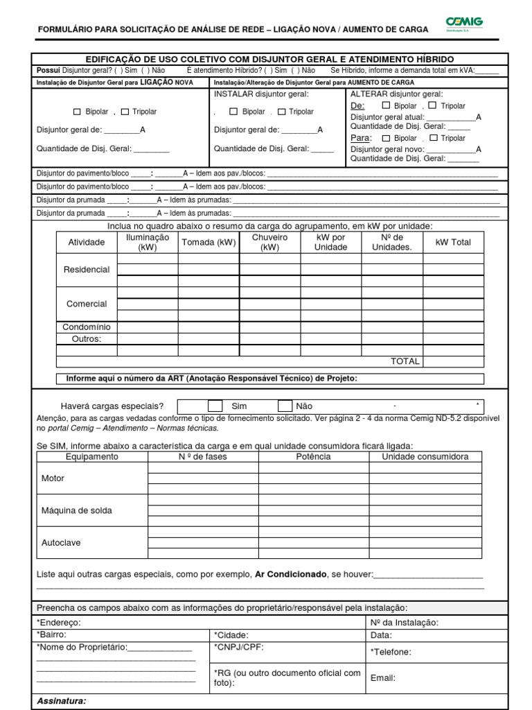 Novo Formulario Cemig | PDF | Business | Science