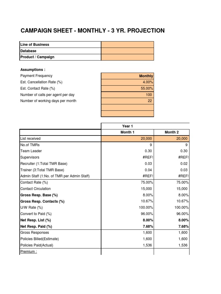 Monthly Campaign Projection Sheet | PDF