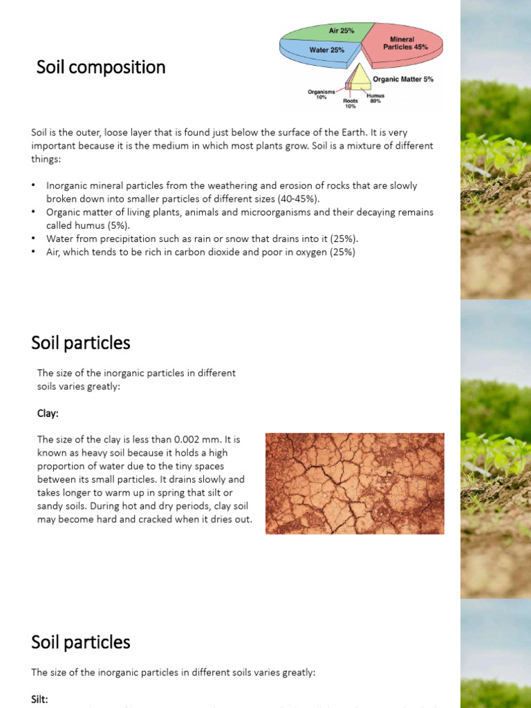 Understanding Soil Composition | PDF | Soil | Organic Matter