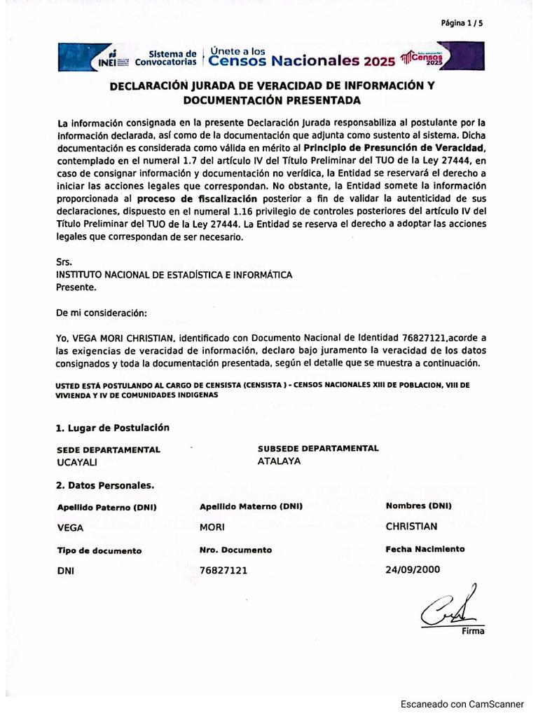 Ficha de Inei_ Vega | PDF