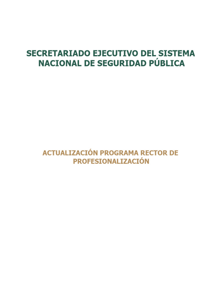 Actualizaci N Programa Rector de Profesionalizaci N Julio 2025 | PDF | Policía | Institución