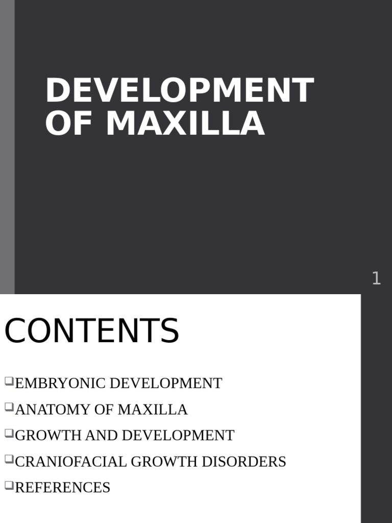 Maxilla Development: Embryology to Anatomy | PDF | Human Head And Neck ...