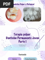 2da Clase - Endodoncia - Diagnostico Pulpar y Periapical | PDF | Odontología | Enfermedades y ...