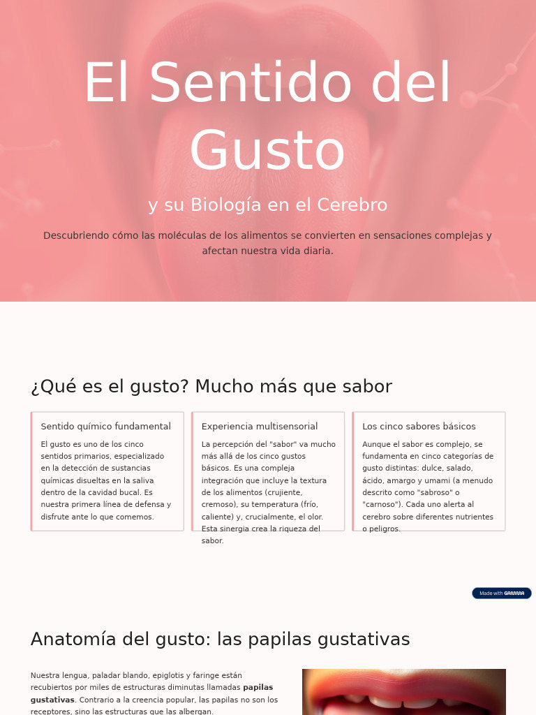 Biología del Gusto y su Impacto Diario | PDF | Gusto | Neurociencia