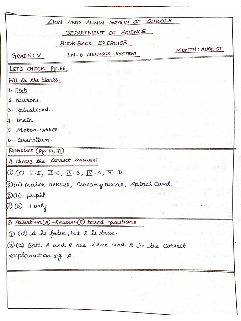 Grade 5 Lesson-6 Bookback Exercises | PDF