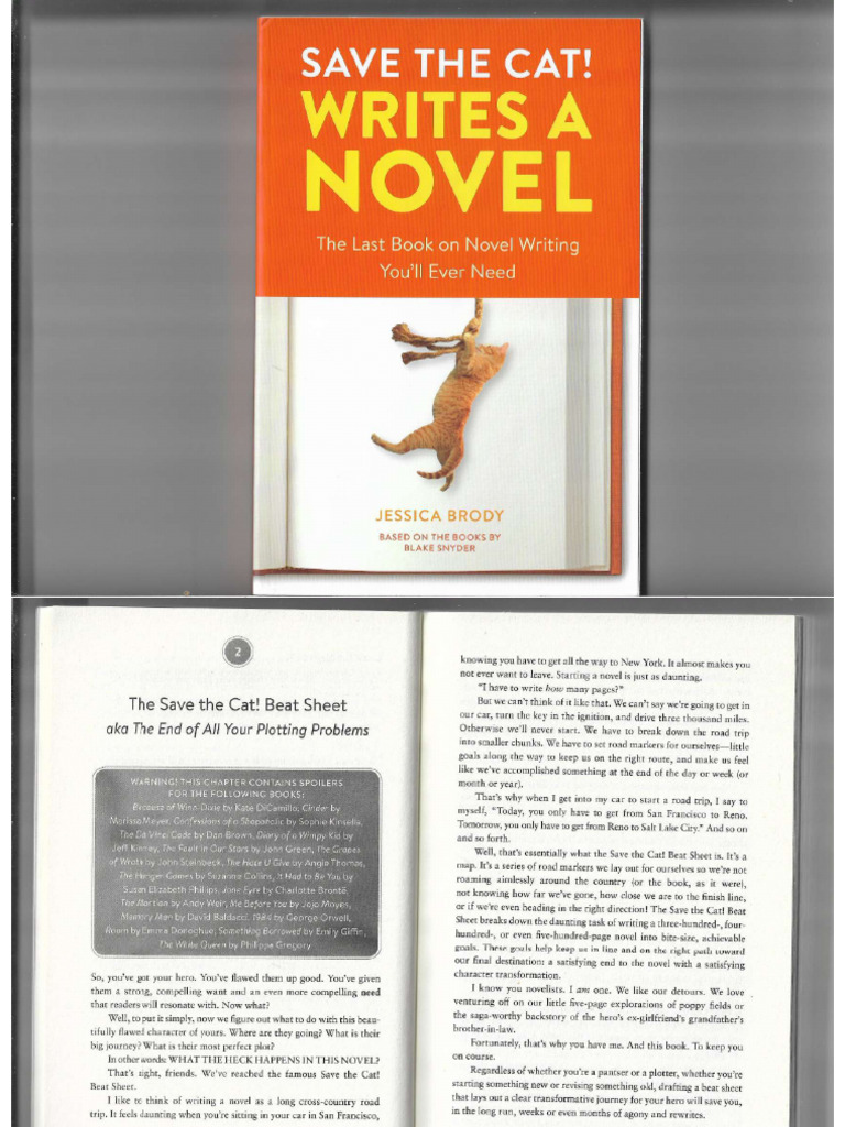 Brody Save The Cat | PDF
