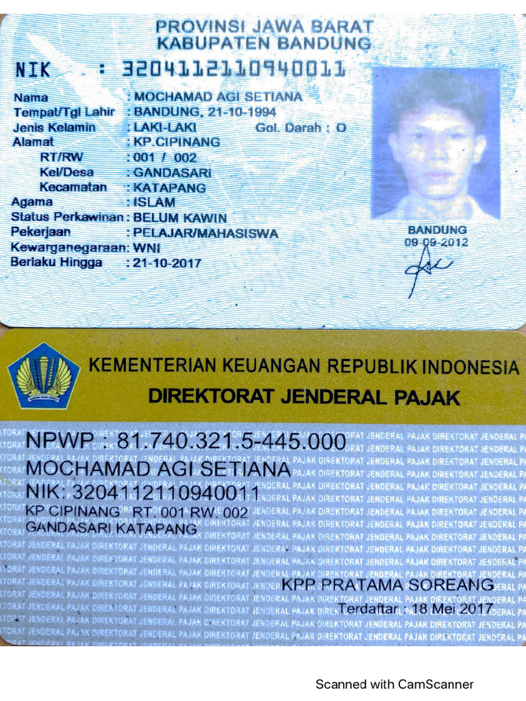KTP & NPWP Direktur | PDF