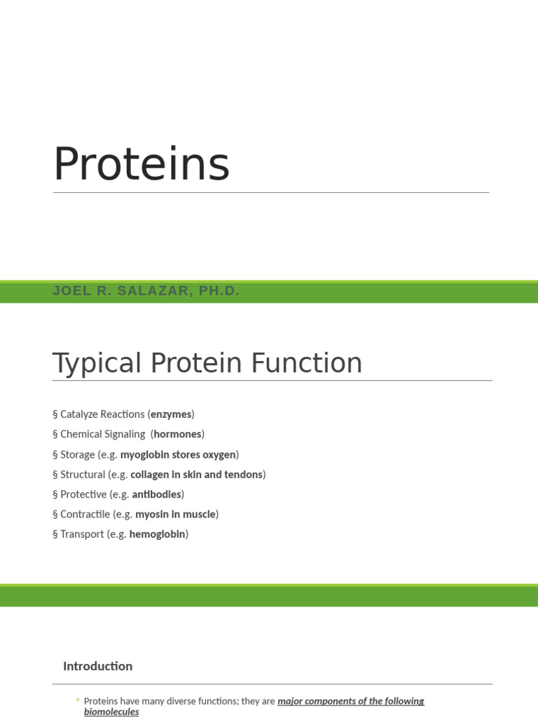 Biochem 6 (Proteins) | PDF | Beta Sheet | Collagen