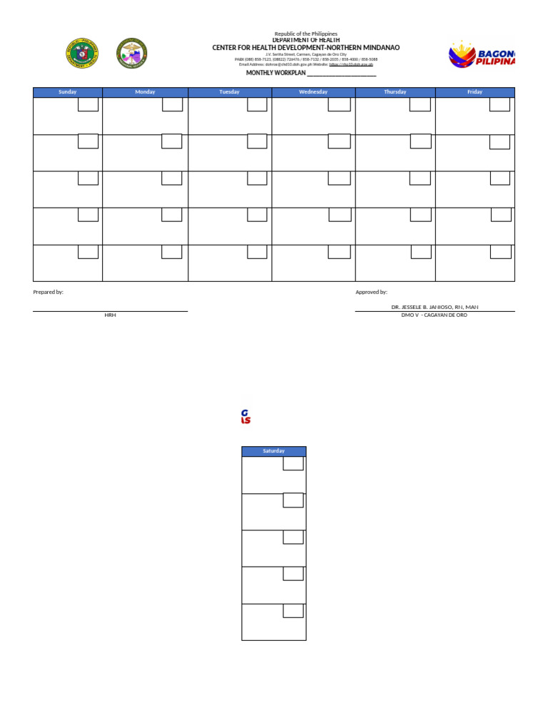 Monthly Health Workplan - Northern Mindanao | PDF