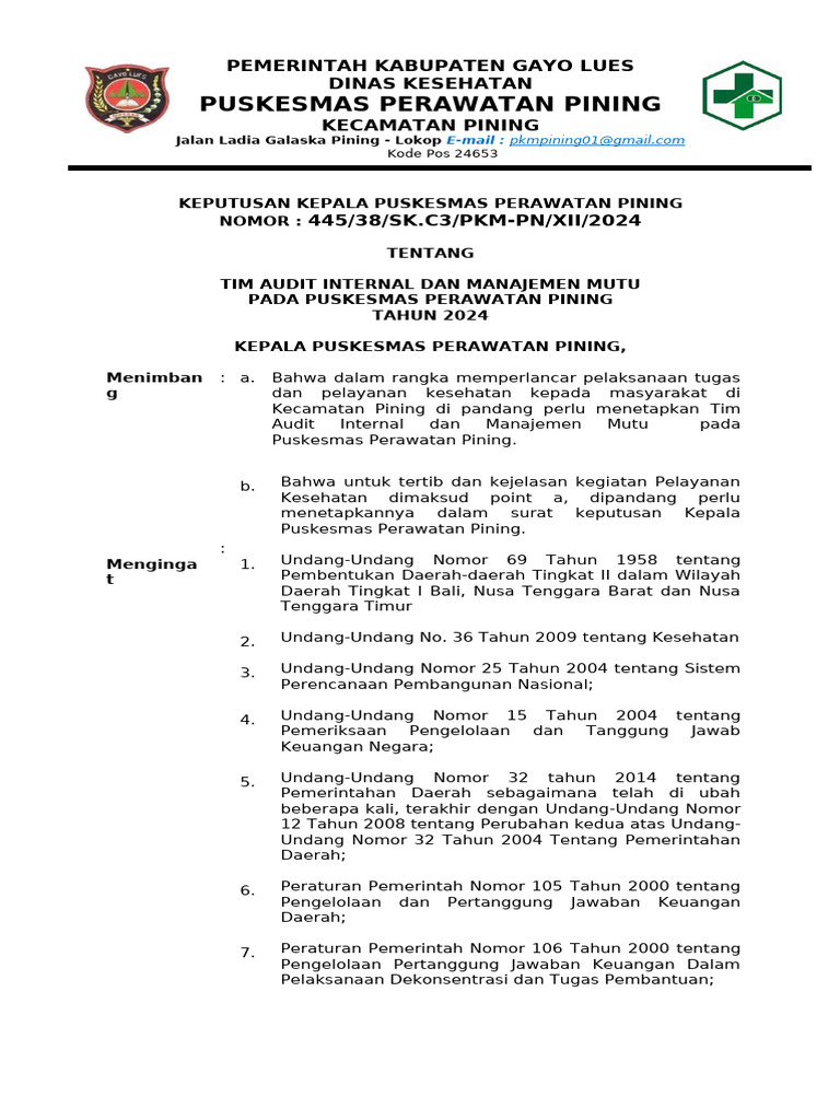 Tim Audit Internal Puskesmas Pining 2024 | PDF