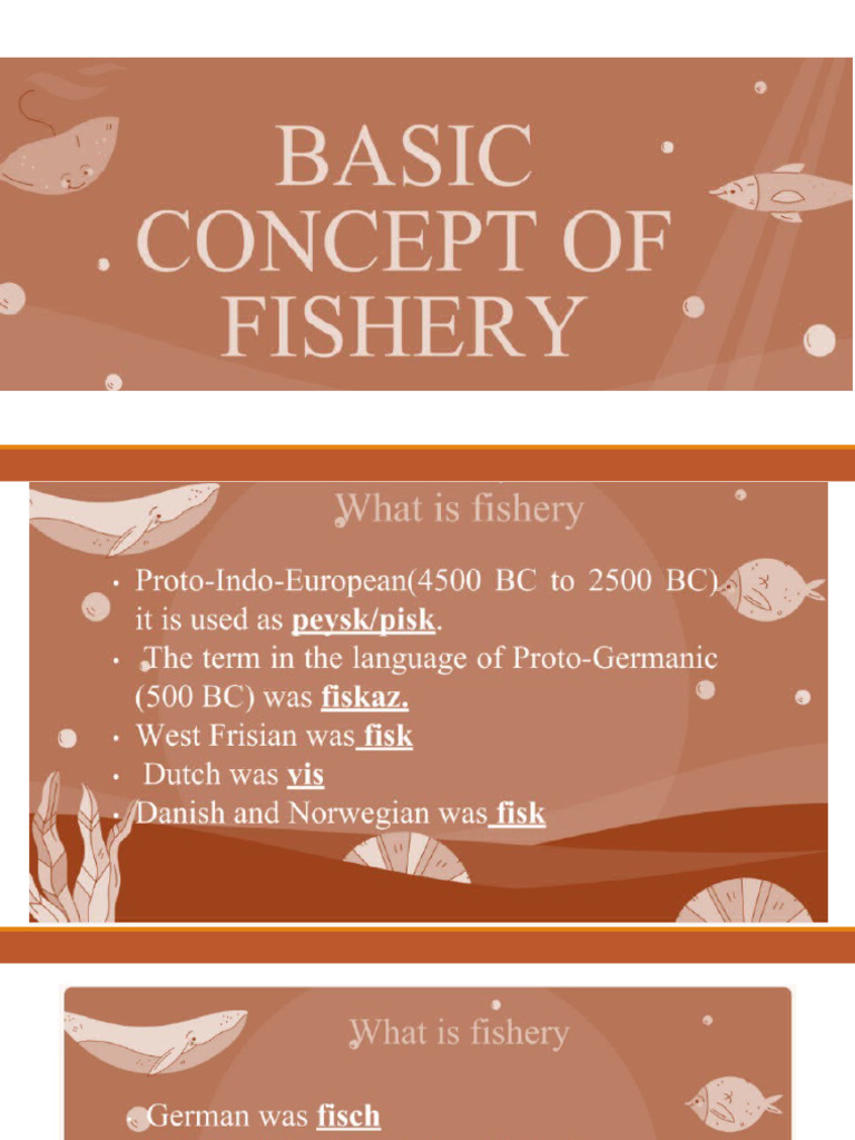 Lecture 11 Basic Concept of Fishery | PDF