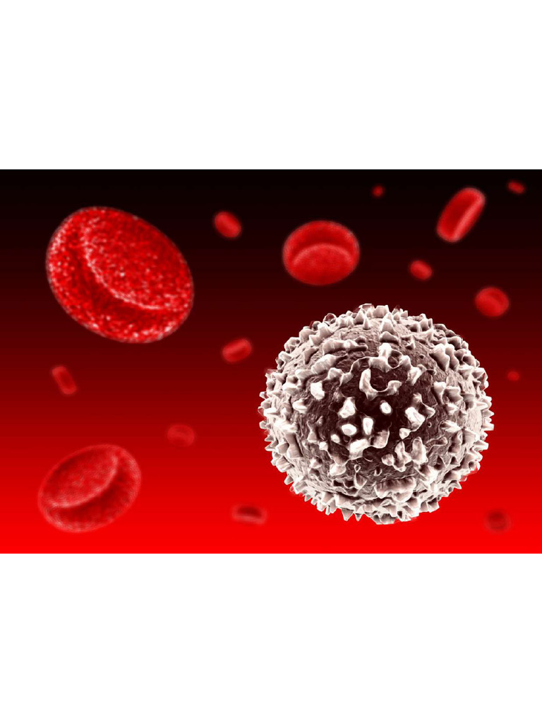 Blood - The Basics | PDF