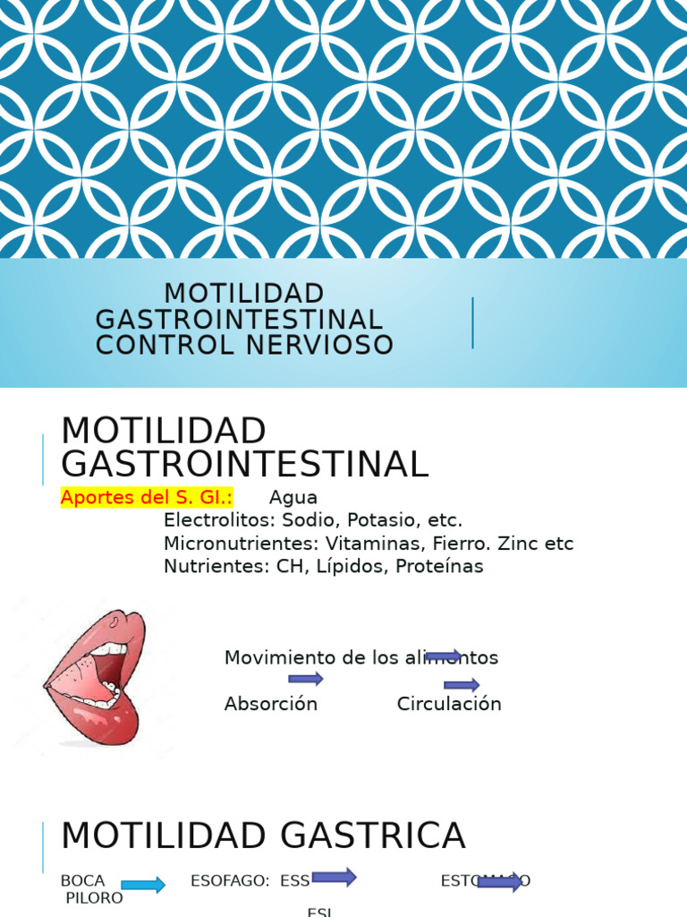 1 Motilidad Pdf Tracto Gastrointestinal Estómago