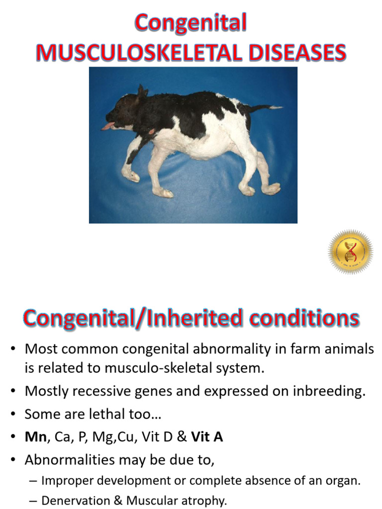 Congenital musculo skeletal diseaeses | PDF | Tendon | Human ...