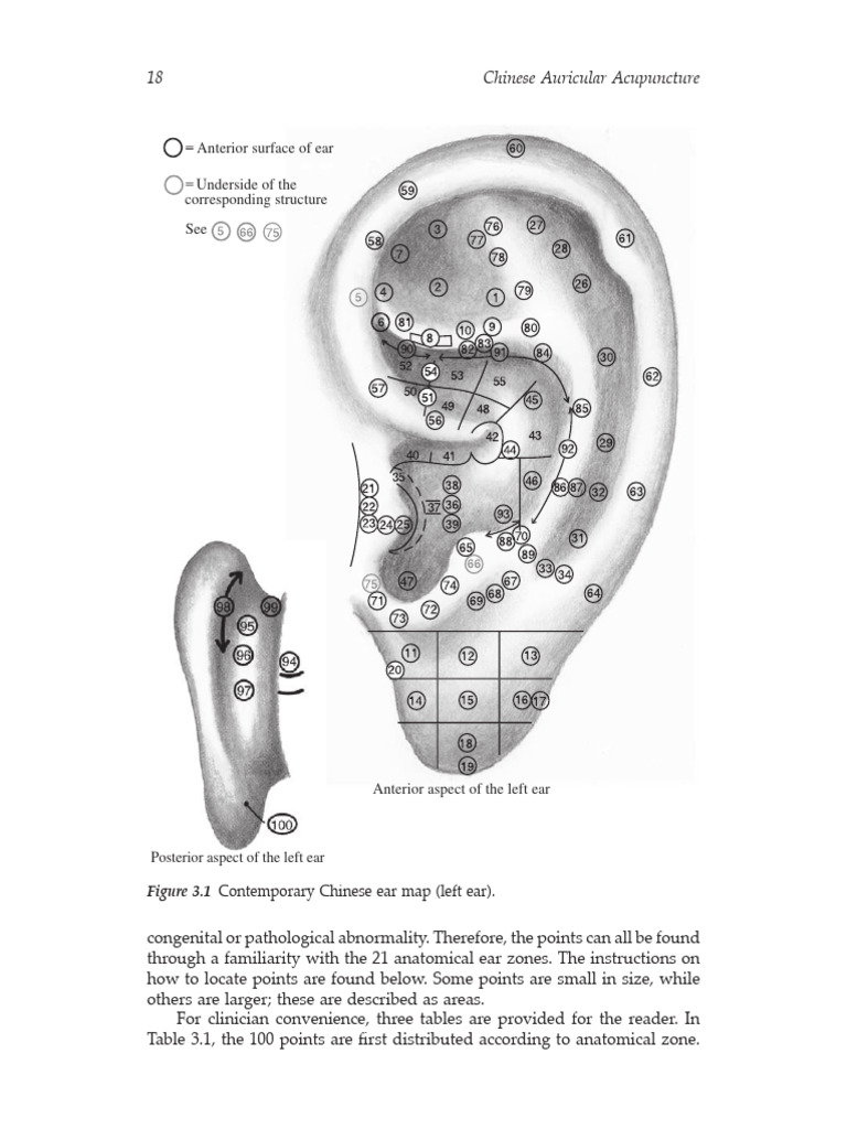Chinese Auricular Acupuncture | PDF | Neck | Vertebra