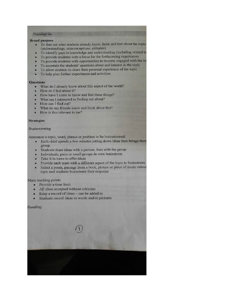 PYP Agency Differentiation | PDF