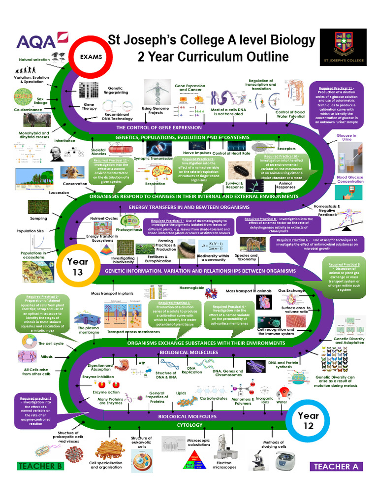 Biology Curriculum Map KS5 2021 | PDF | Cell (Biology) | Biology