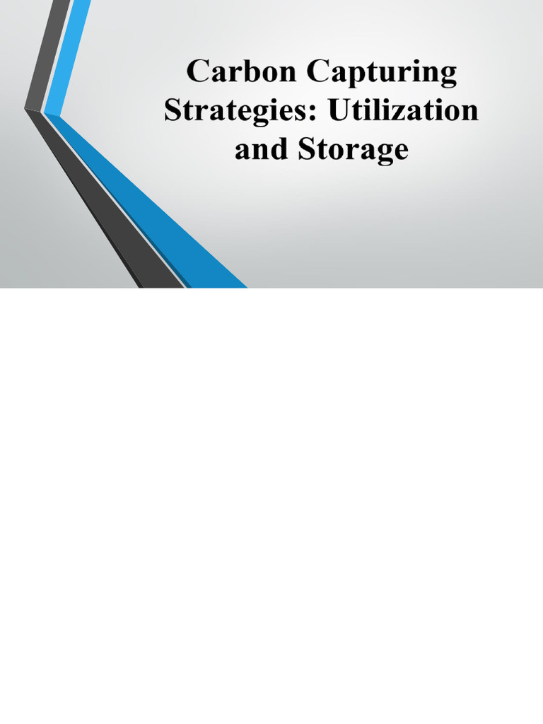 Understanding Carbon Capture Techniques | PDF | Carbon Capture And ...