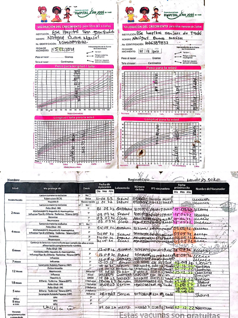 Marisol Natigay | PDF