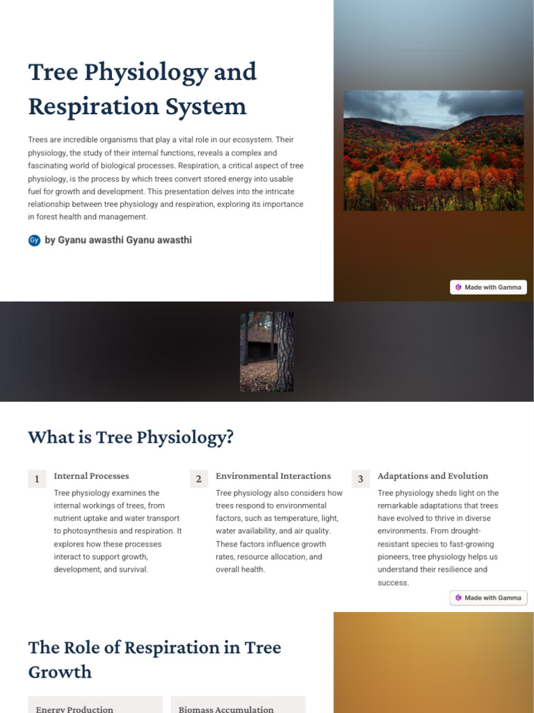 Tree Physiology and Respiration System | PDF | Cellular Respiration ...