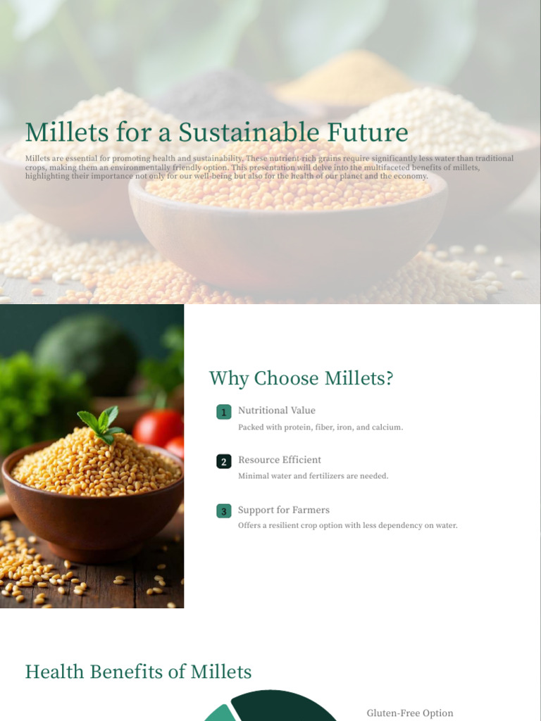 Benefits of Millets for Sustainability | PDF | Agriculture | Sustainability