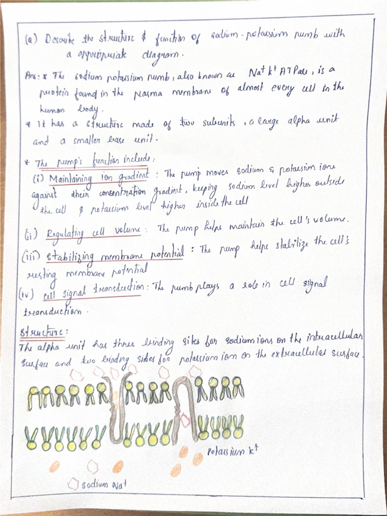 Biochemistry | PDF
