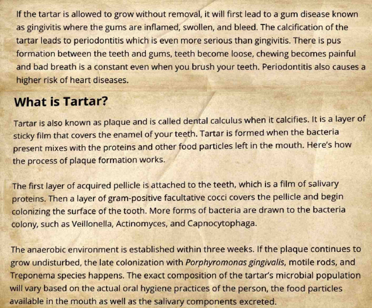 Tartar Formation and Oral Health Risks | PDF