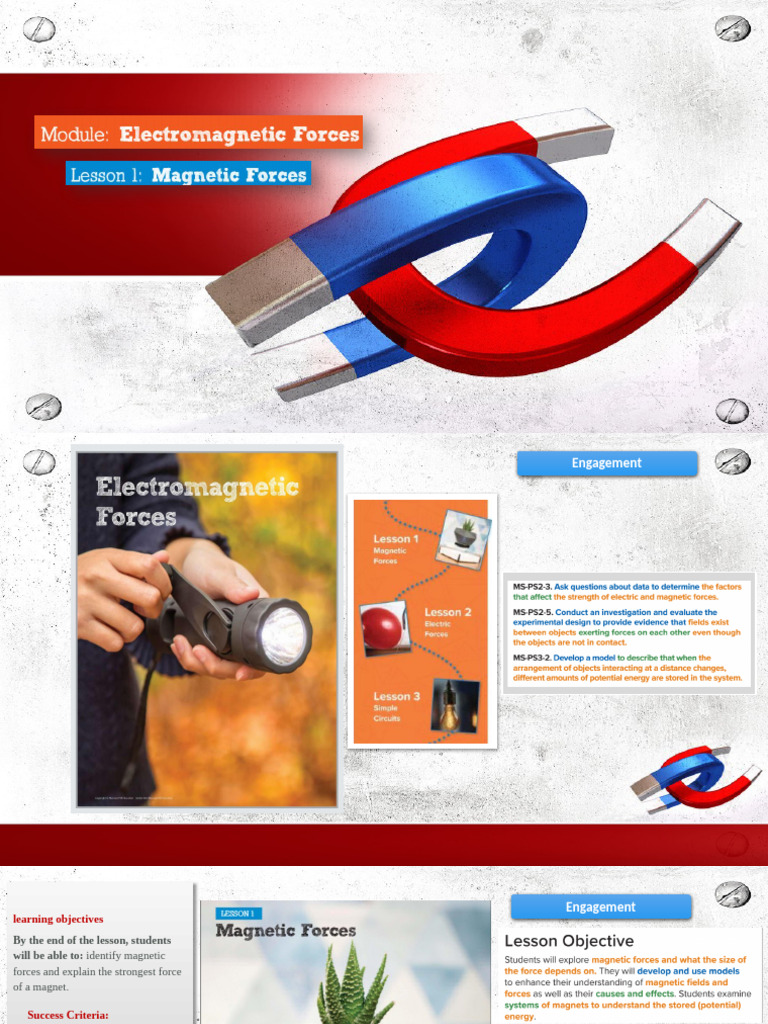 Understanding Magnetic Forces and Materials | PDF | Magnetism | Magnet