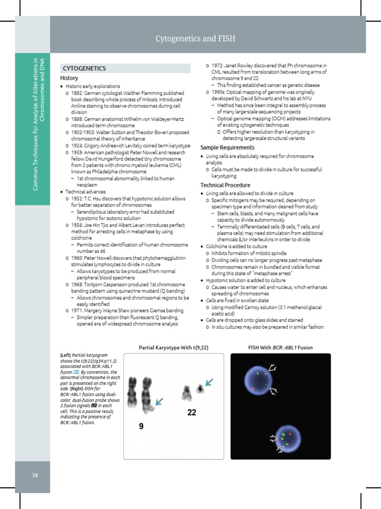 18 Cytogenetics and FISH | PDF | Fluorescence In Situ Hybridization ...