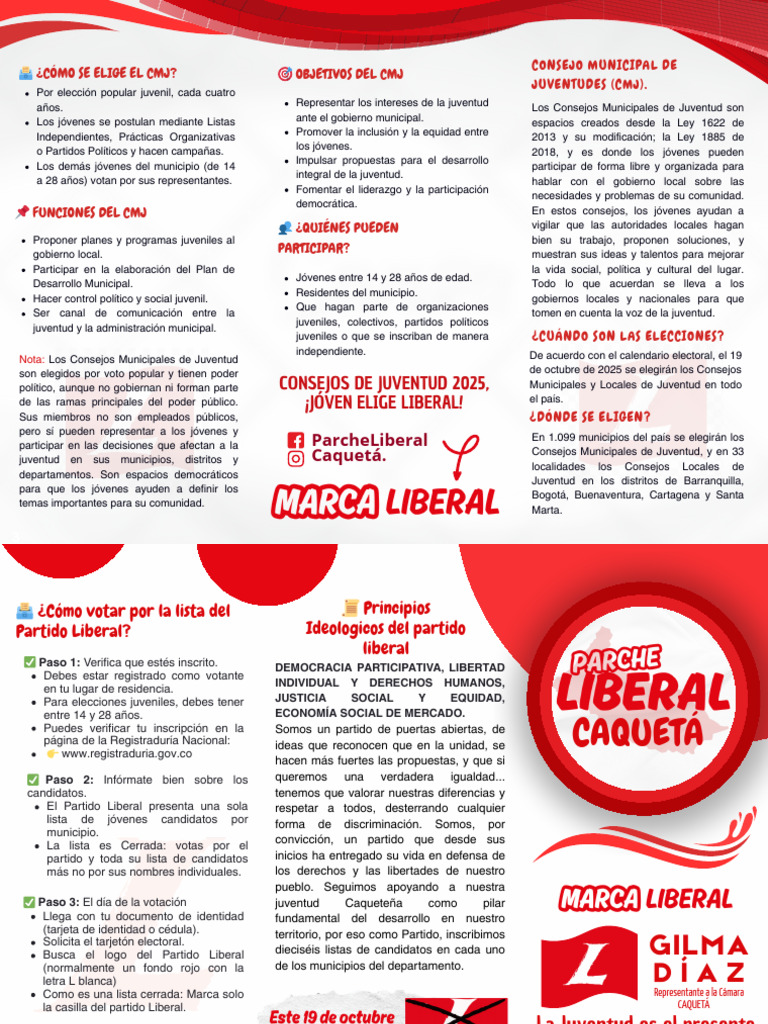 Folletos PDF | PDF | Elecciones | Votación