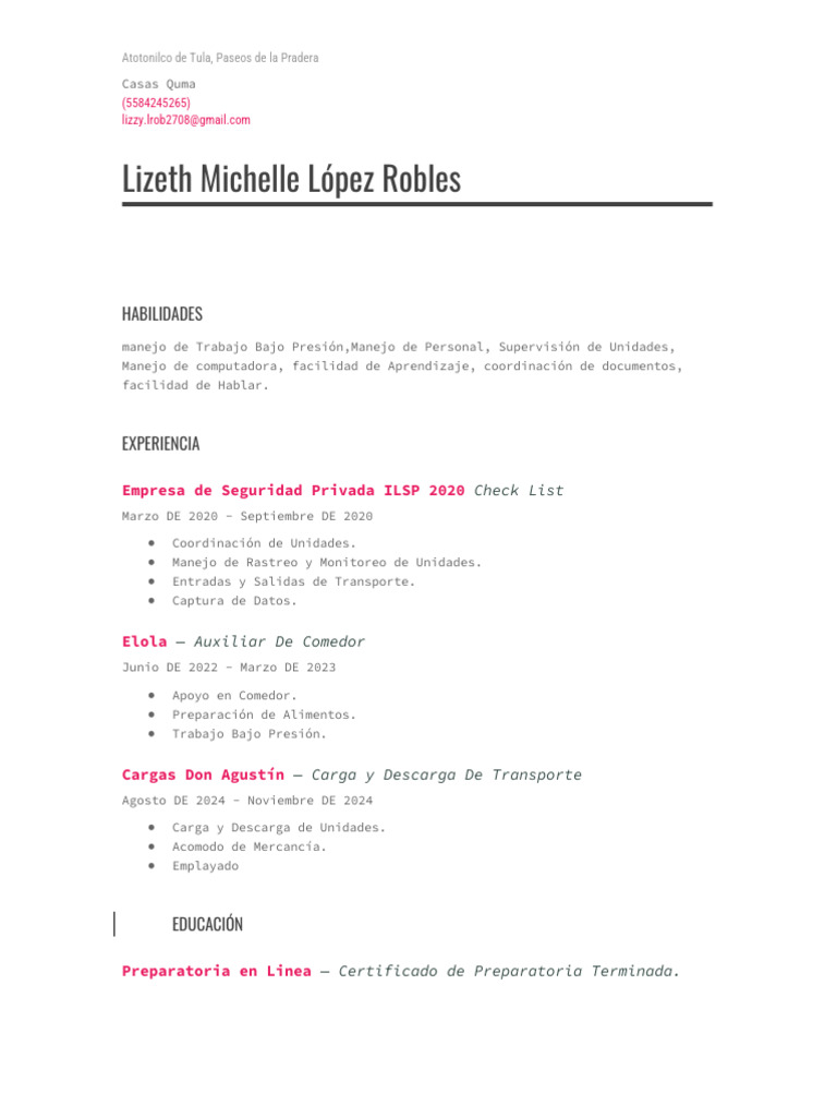 CV Lizeth Michelle López Robles | PDF