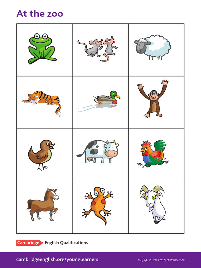 CER 6019a 7Y09 Young Learners Flash Cards Starters AB Web-4 | PDF
